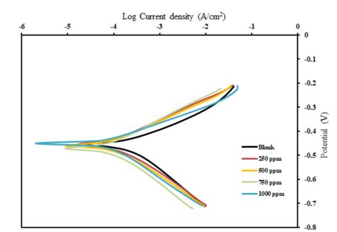 Polarization Curves Of Steel Samples After 1 H Of Immersion In The Test