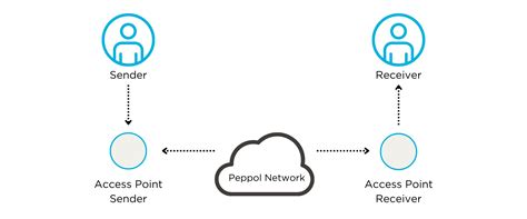How To E Invoice On The Peppol Network With Sap Flexso