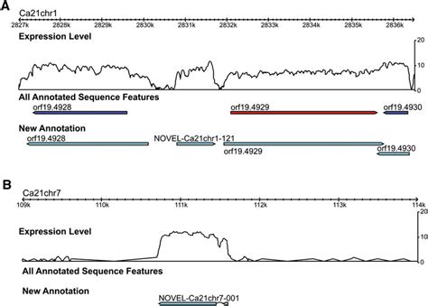Identification Of Novel Transcriptionally Active Regions Tars Signal