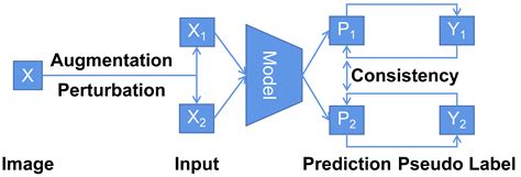 Stochastic Consensus Enhancing Semi Supervised Learning With Consistency Of Stochastic Classifiers