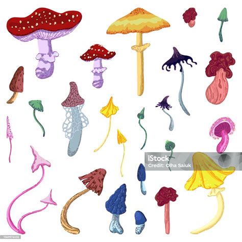 다양한 유독 버섯의 컬렉션 추상 곰팡이 세트 현대적인 스타일의 벡터 일러스트레이션 흰색 배경에 고립 된 다채로운 클립 아트 0명에 대한 스톡 벡터 아트 및 기타 이미지