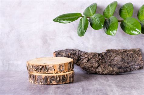 Natural Mock Up Of Tree Slices Bark And A Branch With Leaves On A Gray