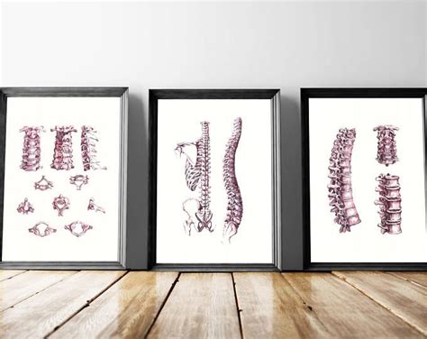 T For Massage Therapist Floral Anatomy Massage Room Art Muscular System Posters Massage