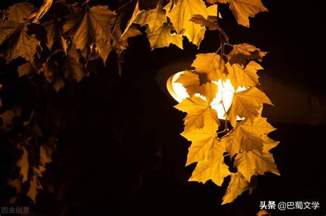散文懷君屬秋夜 每日頭條