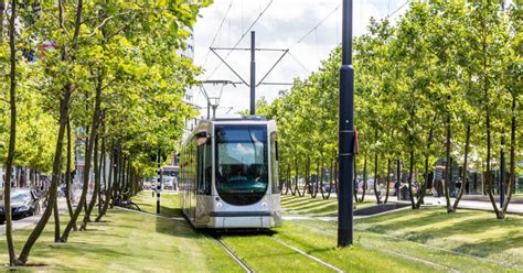 What Is The Difference Between Transportation And Mobility