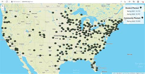 Analytics And Outreach