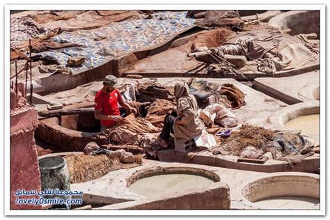 دبغ الجلود في المغرب لفلي سمايل