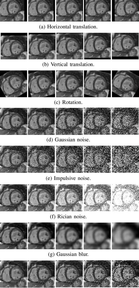 Visual Examples Of Input Perturbations Under Various Intensity Levels