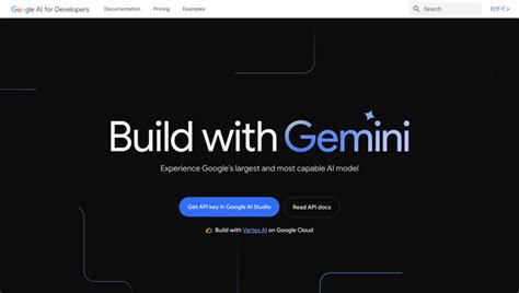 Gemini Api Api Key Python