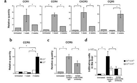 A Kinetics Of Ccr1 Ccr4 Cxcr3 And Ccr5 Mrna Expression In Liver Download Scientific