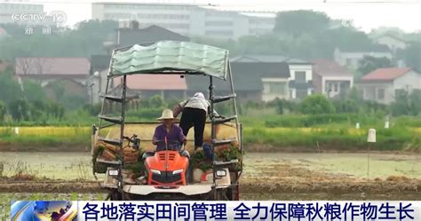 智 绘”田管图 科技为全力保障秋粮作物生长装上 数字大脑” 光明网