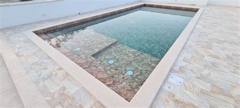 Do Pool Skimmers Have Overflow At Sebastian Moses Blog