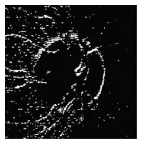 some examples of deep feature visualization download scientific diagram