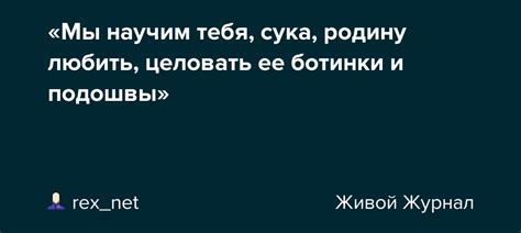 «Мы научим тебя сука родину любить целовать ее ботинки и подошвы Rex Net — Livejournal