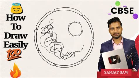 How To Draw Nucleus Step By Step For Beginners Youtube