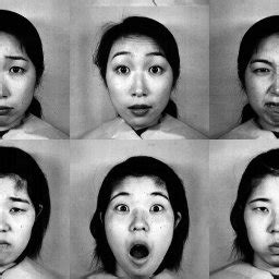 PDF Coding Facial Expressions With Gabor Wavelets
