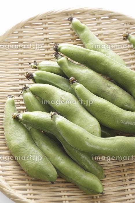 そら豆の写真素材 24255562 イメージマート