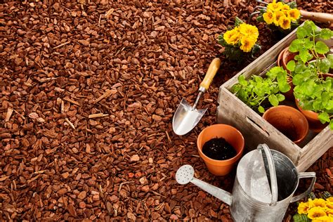 Alternatives To Grass In Backyard Lawn Replacement Tips Install It Direct