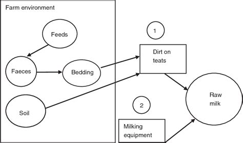 Bacteria Thermoduric Semantic Scholar