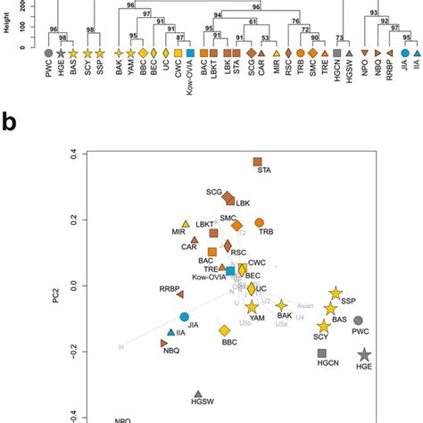 A Unsupervised Hierarchical Clustering With The Ward Method And