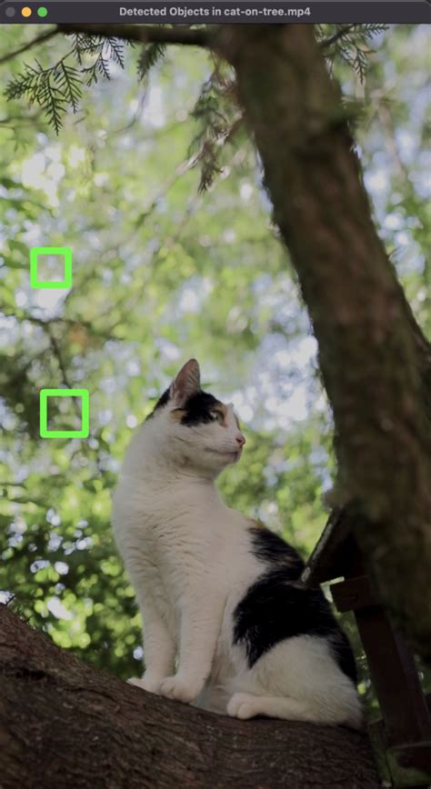 Object Detection With Opencv Python Using A Haar Cascade Classifier