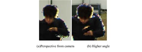 Occlusion Problem Example Download Scientific Diagram