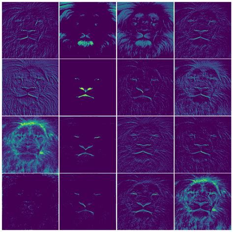 Exploring Feature Extraction With Cnns Towards Data Science