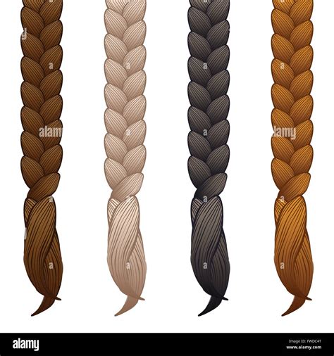 Braids Isolated On White Background Vector Illustration Stock Vector