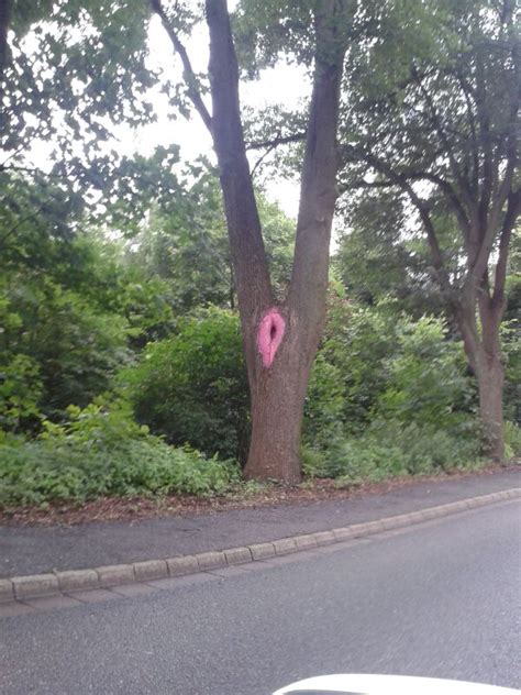 Trees Sucking At Things