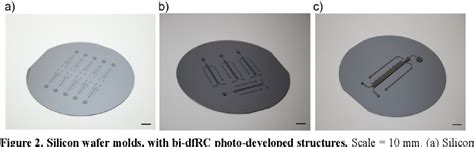 Figure 2 From Bi Directional Dual Flow Rootchip For Physiological