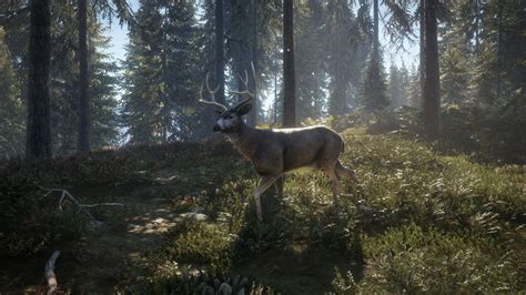 theHunter: Call of the Wild™ on Steam
