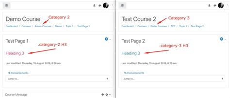 How To Add Custom Css Styles To Categories In Moodle Themes Ricoshae