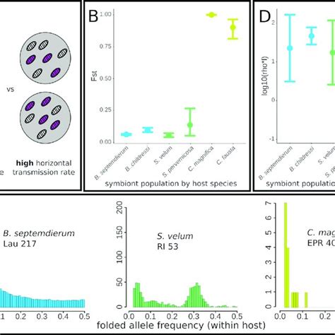Consequences Of Access To Gene Flow Via Horizontal Transmission And