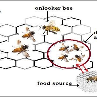Artificial Bee Colony Download Scientific Diagram