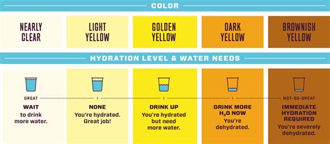 Urine Collection Toilet Water Blue