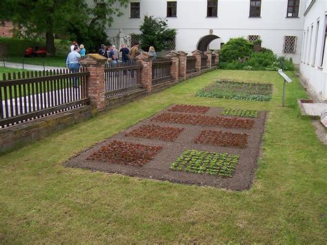 Gregor Mendels Pea Garden St Thomas Abbey In Brno Czech Flickr