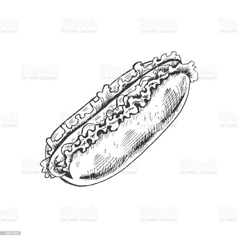 흰색 배경에 격리된 핫도그의 손으로 그린 스케치 패스트 푸드 그림입니다 빈티지 그림 라벨 포장 및 엽서 디자인을위한 요소 가공육에 대한 스톡 벡터 아트 및 기타 이미지