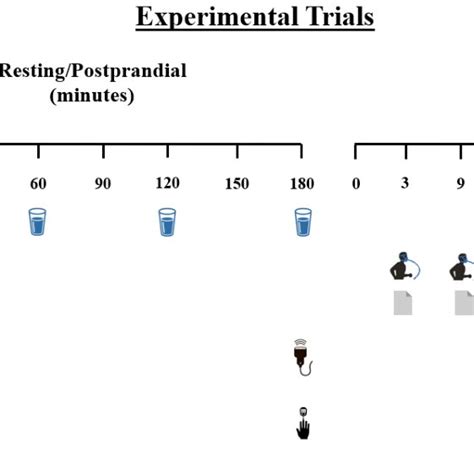 Experimental Trial Procedures Rpe Rating Of Perceived Exertion Download Scientific Diagram