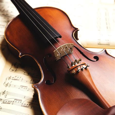 Aurarmlet 1set Chrome Steel Violin Strings Assorted Color For Beginners E Replacement Bright