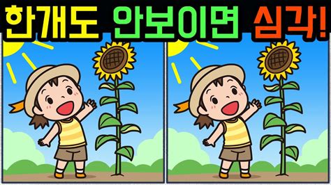 【다른그림찾기】아이큐 상위 10도 찾기 힘든 차이점 뇌건강에 좋은 퀴즈【두뇌운동find Difference틀린그림찾기