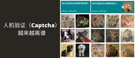 Noptcha 鉴于越来越离谱的人机验证（captcha），是时候用机器人反击了
