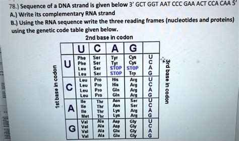 Sequence Of A Dna Strand Is Given Below Gct Ggt Aat Ccc Gaa Act Cca Caa A Write Its