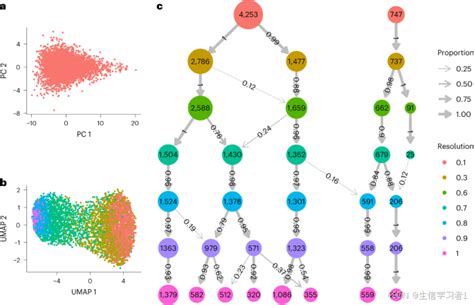 单细胞数据分析（三）：单细胞聚类分析