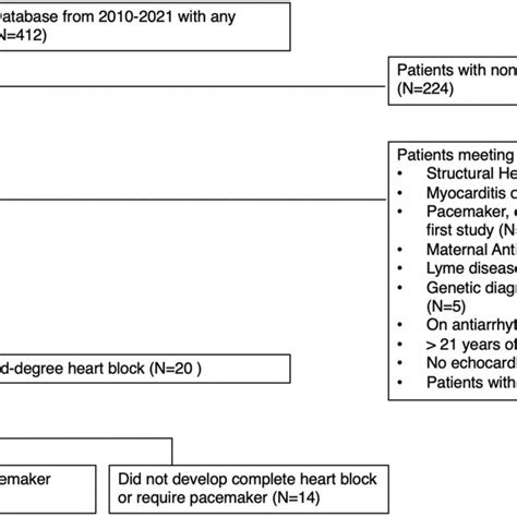 Algorithm Showing Subject Selection And Exclusion Criteria Download Scientific Diagram