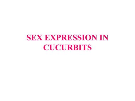 Sex Expression In Cucurbits PPTX