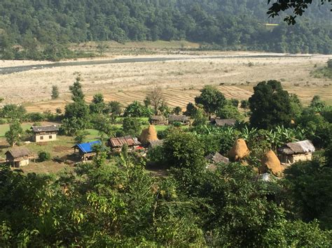 कुलो बगेपछि हराए रैथाने धान अर्थ वाणिज्य कान्तिपुर समाचार