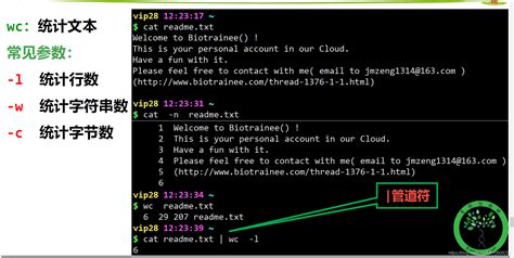 Linux系统介绍 文本查看、操作、统计命令（headtail Cattac Lessmore • Wc Sort Uniq • Cut