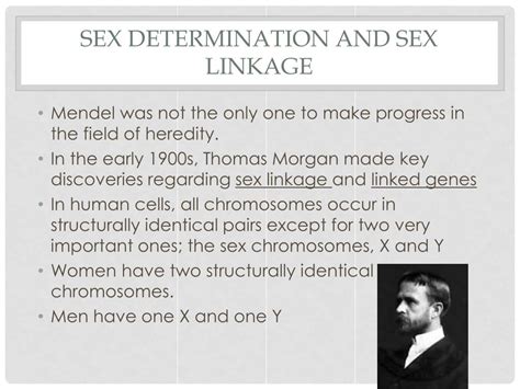 PPT Sex Determination And Sex Linkage PowerPoint Presentation Free Download ID
