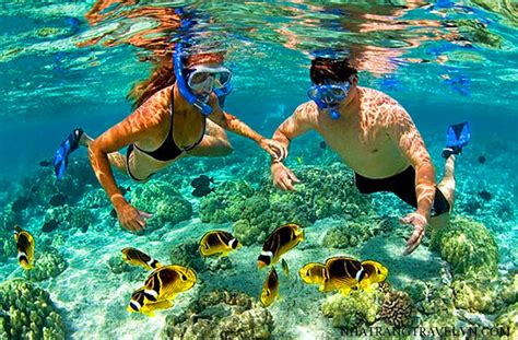 나트랑 섬에서 즐기는 스노클링 투어