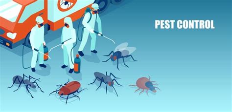 How To Control Insect Pests Learn Apply 2021